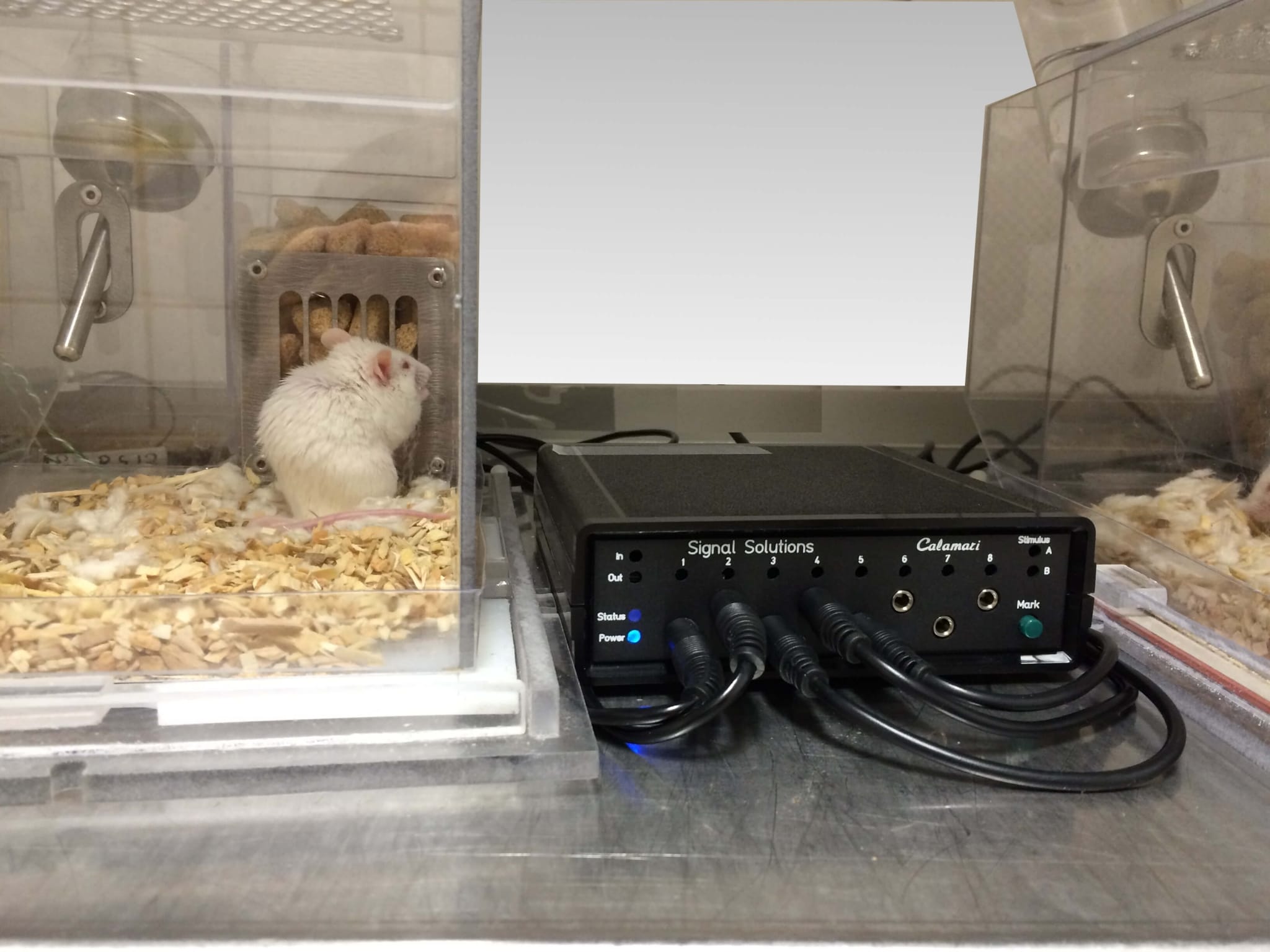 Sleep Monitoring System for Mice (Complete) - Signal Solutions
