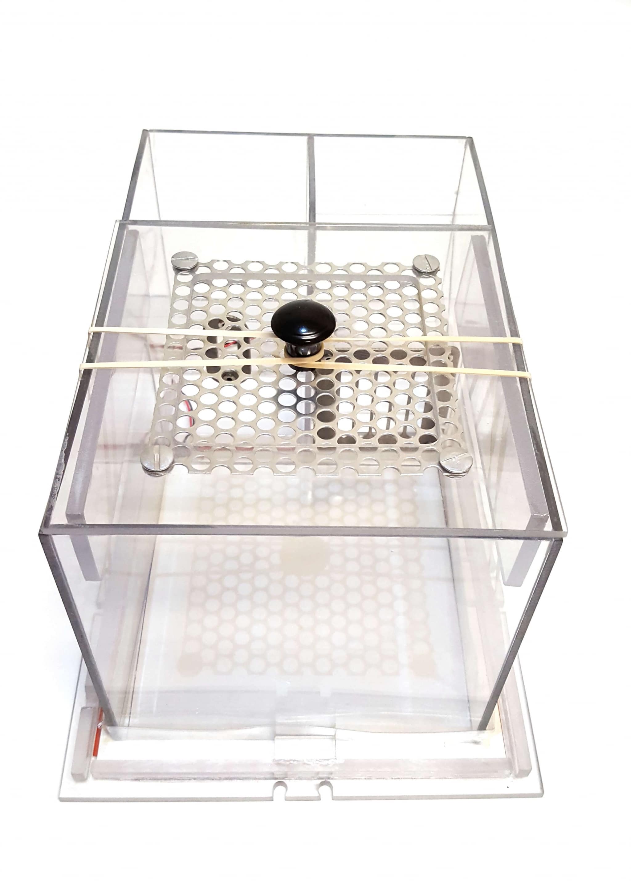 Custom Mouse Cage (single) - Signal Solutions
